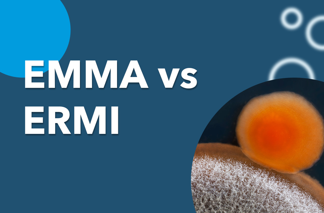 EMMA vs ERMI | RealTime Labs