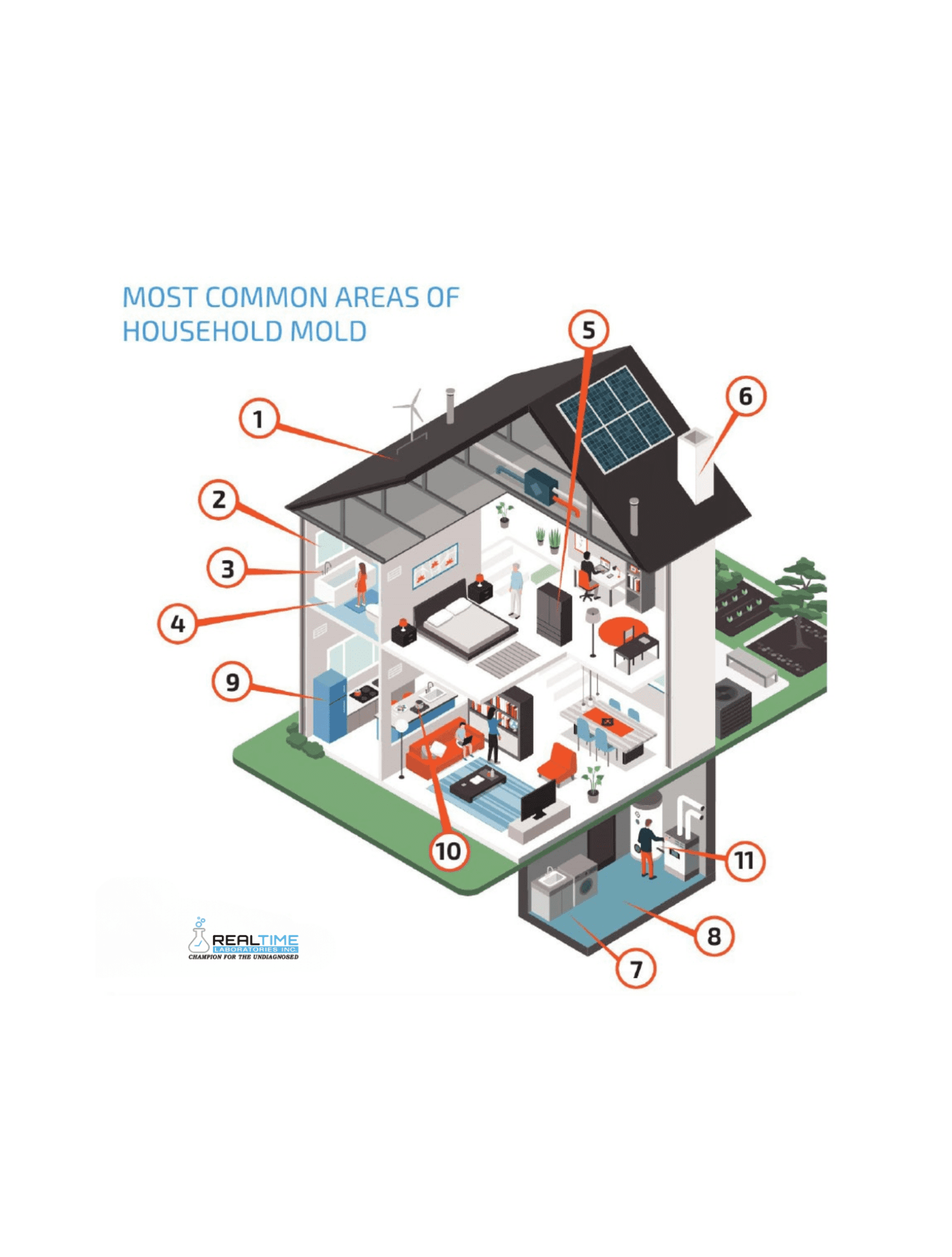 Buy (EMMA) Environmental Mold and Mycotoxin Test